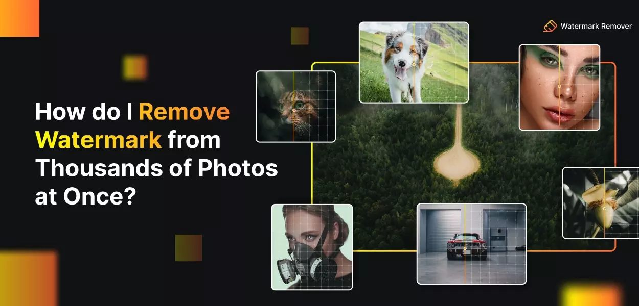 How do I Remove Watermark from Thousands of Photos at Once?